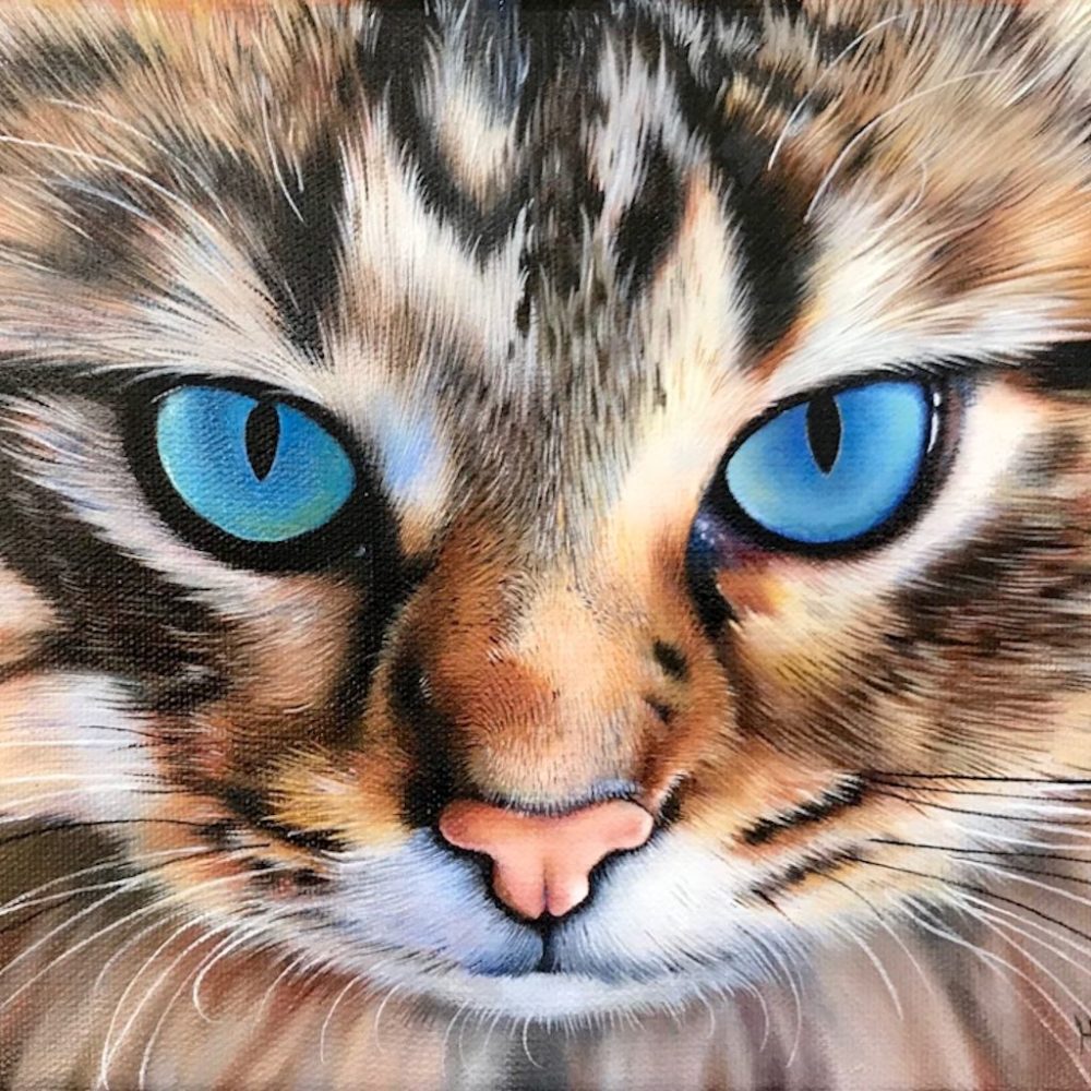 Susan Hutchison - Fotheringham Gallery