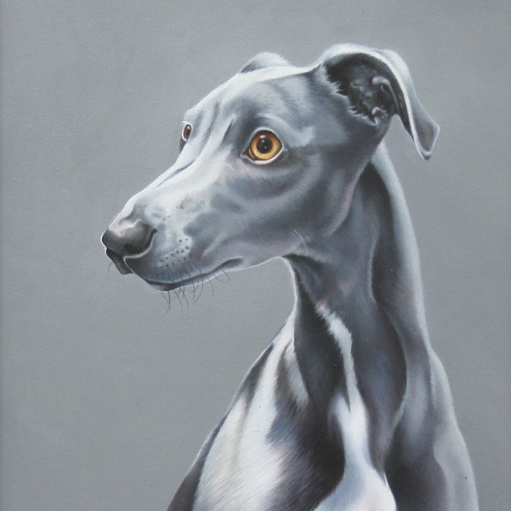 Susan Hutchison - Fotheringham Gallery