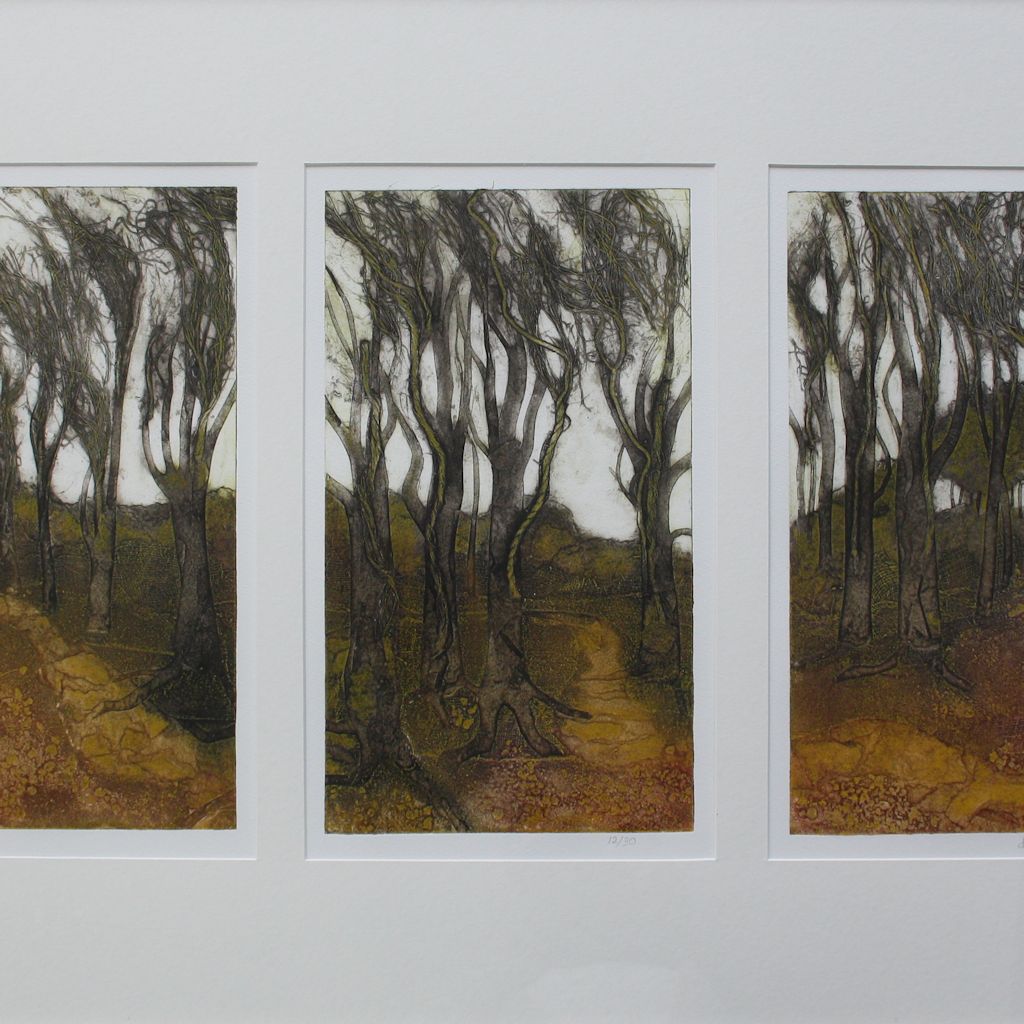 Sarah Ross-Thompson - Fotheringham Gallery