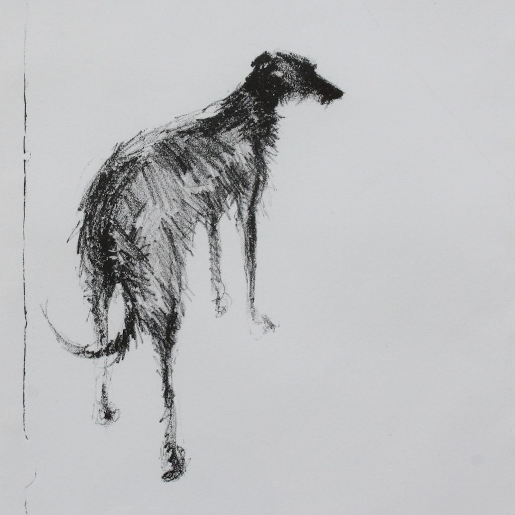 Sally Muir - Fotheringham Gallery