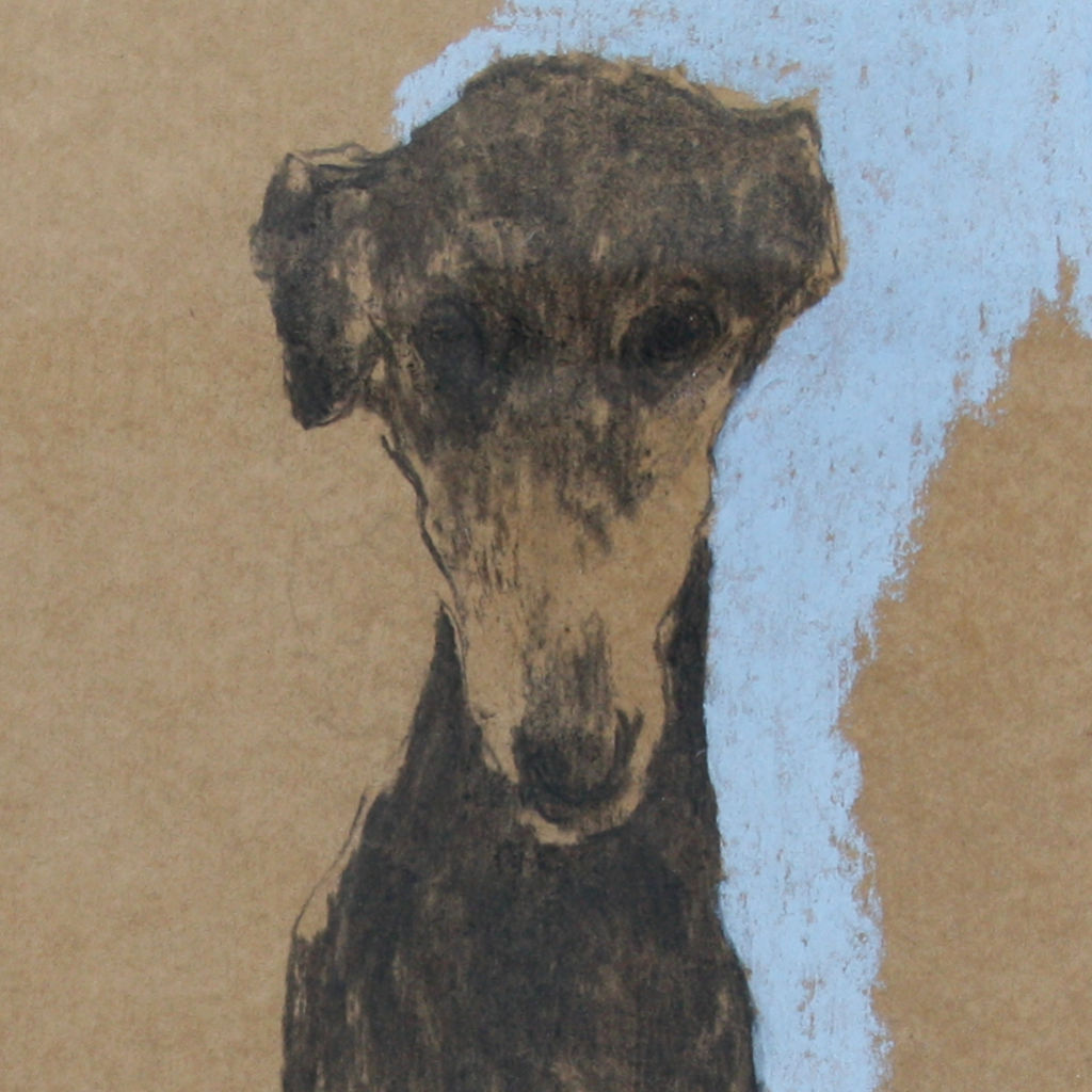 Sally Muir - Fotheringham Gallery