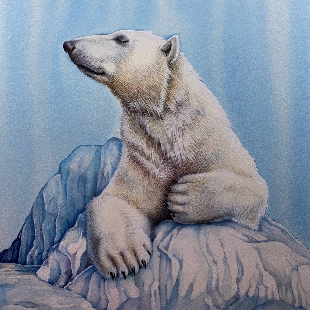 Susan Hutchison - Fotheringham Gallery