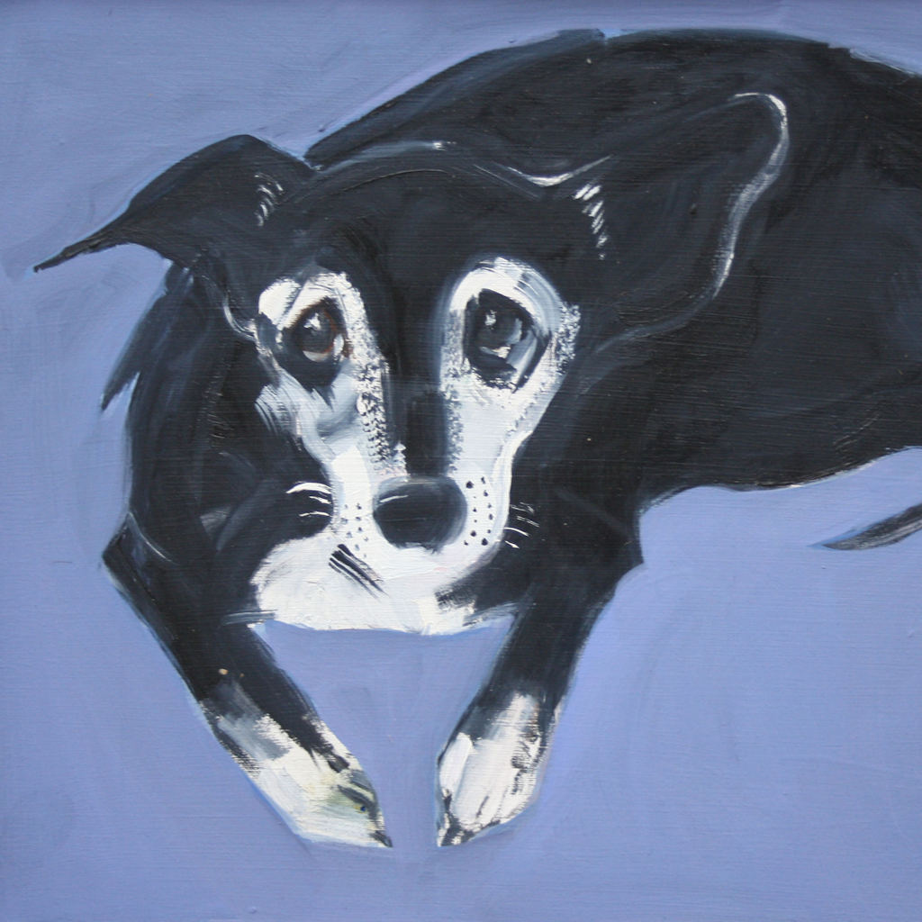 Sally Muir - Fotheringham Gallery