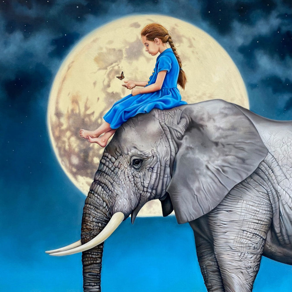 Susan Hutchison - Fotheringham Gallery
