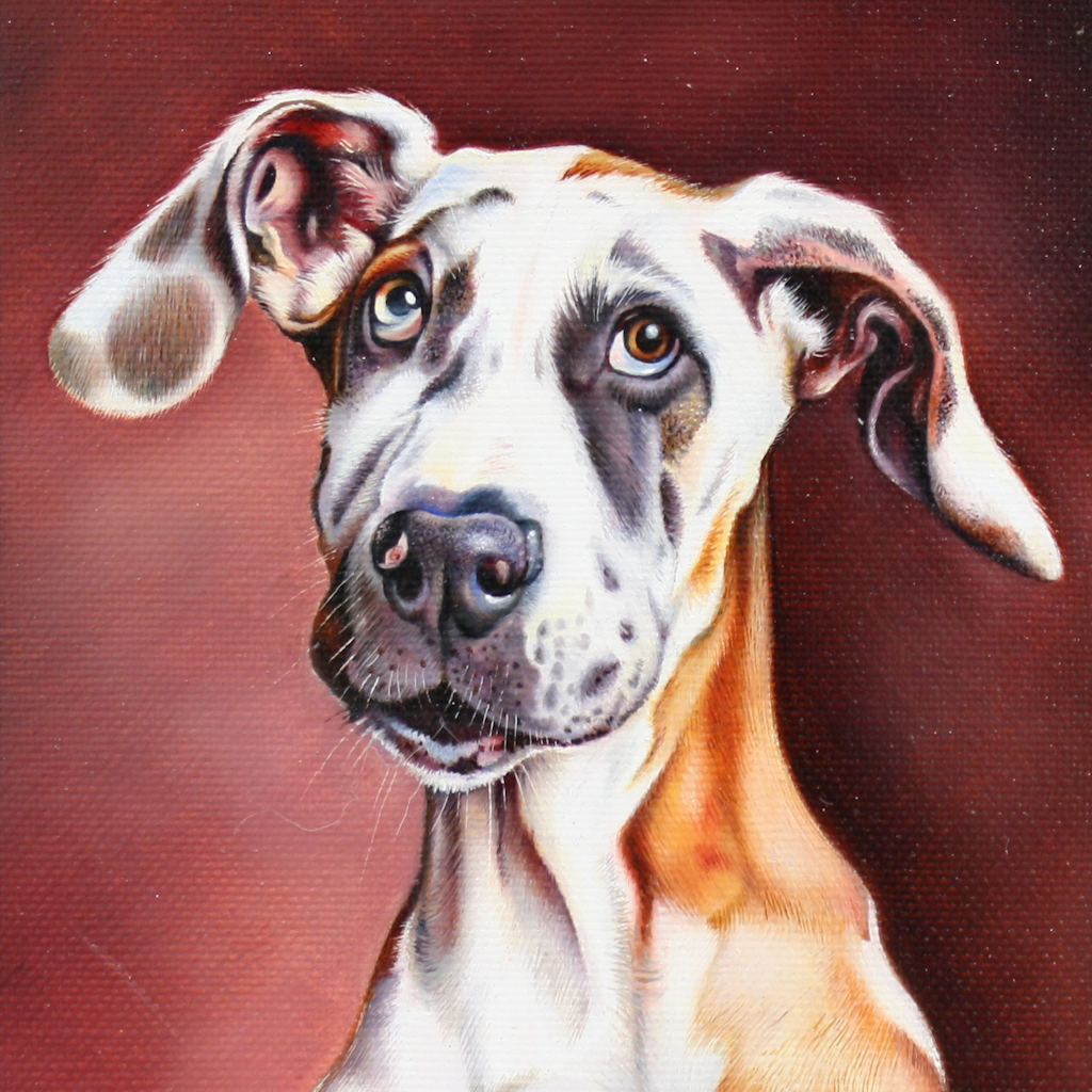 Susan Hutchison - Fotheringham Gallery
